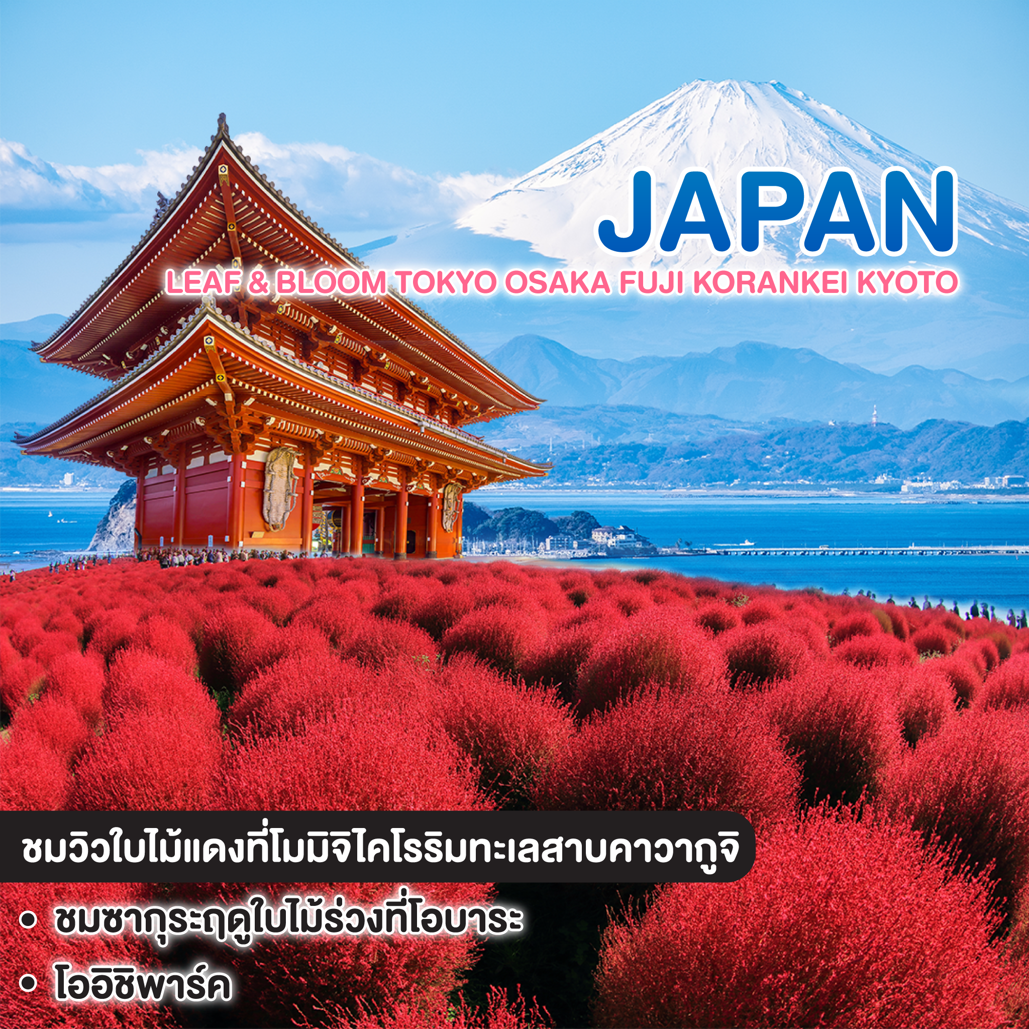ทัวร์ญี่ปุ่น Leaf & Bloom TOKYO OSAKA FUJI KORANKEI KYOTO
