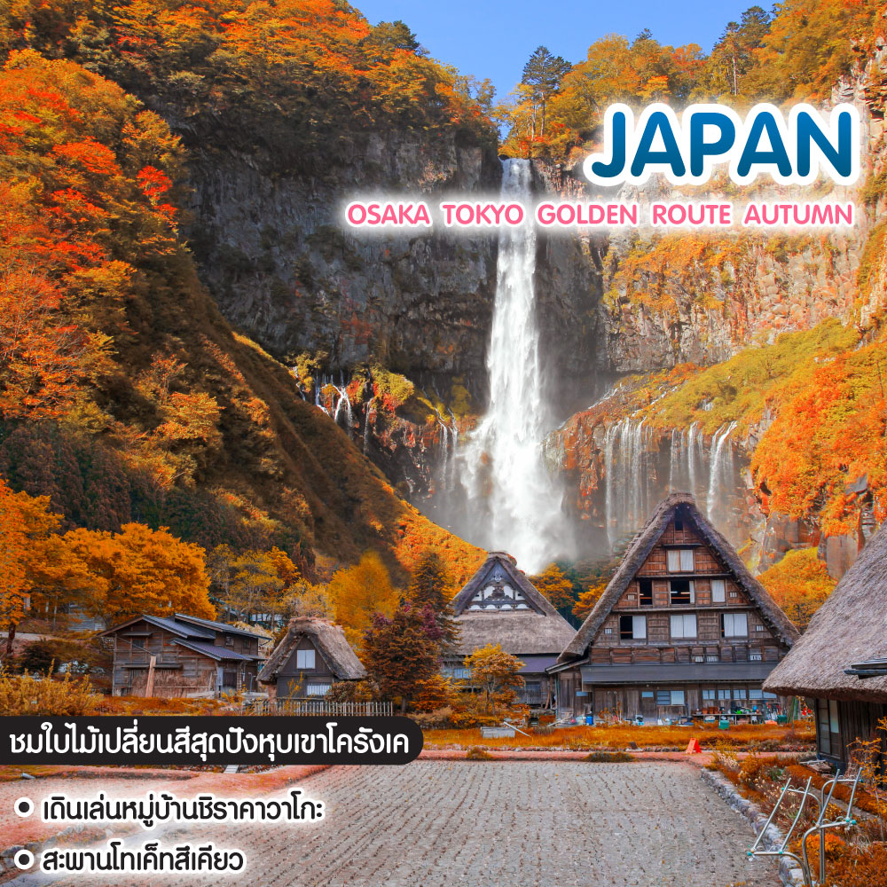 ทัวร์ญี่ปุ่น Osaka Tokyo Golden Route Autumn