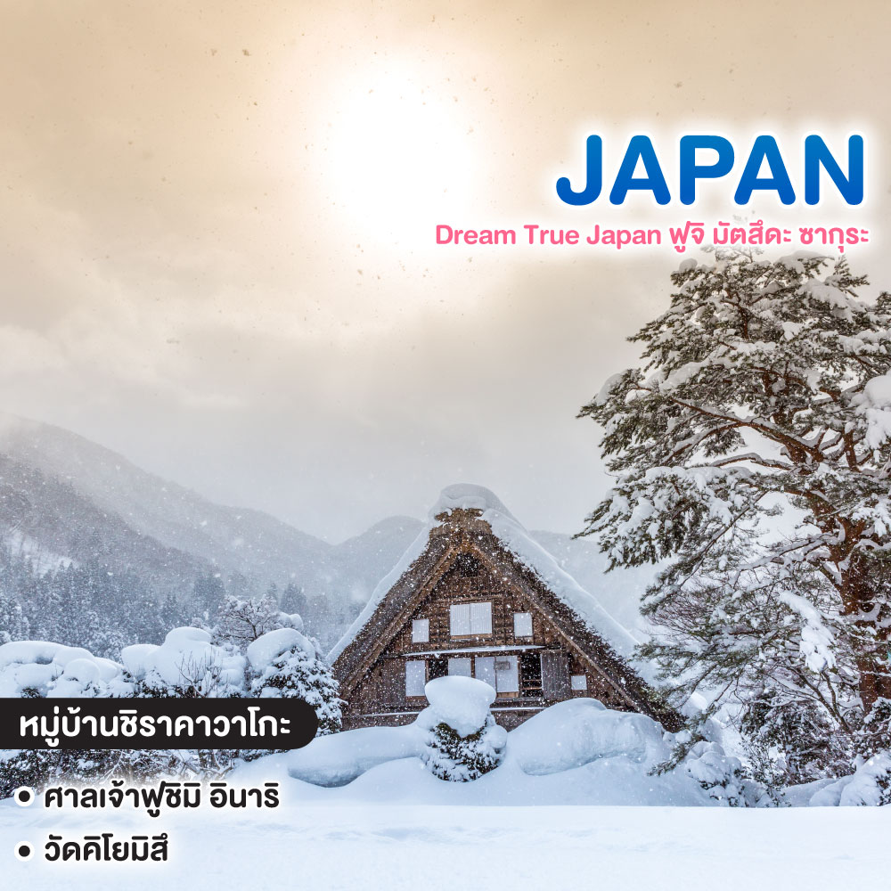 ทัวร์ญี่ปุ่น Dream True Japan ฟูจิ มัตสึดะ ซากุระ